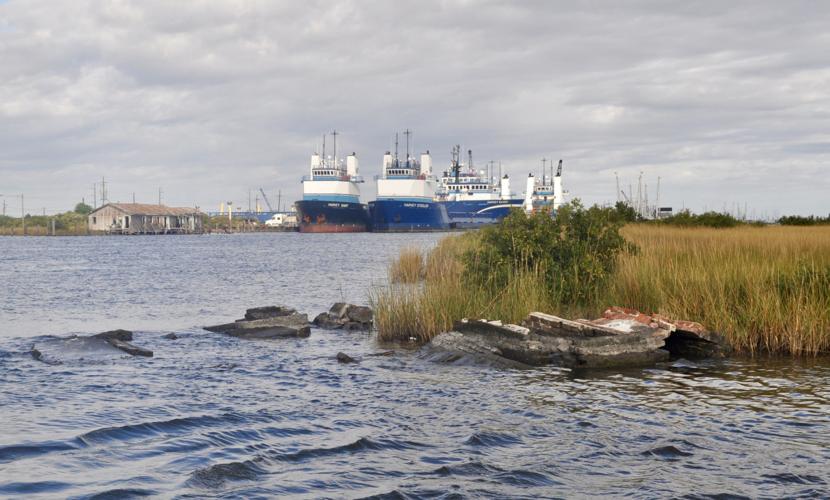 Could bombing Louisiana's coast with seeds save it? | Environment ...