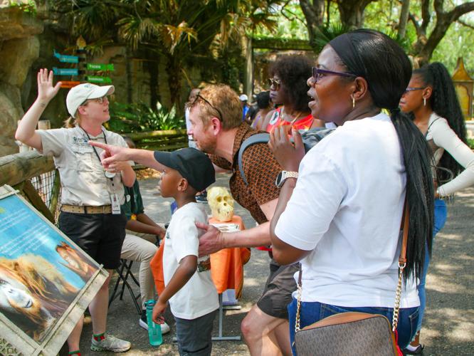 New Orleans Audubon Zoo defends membership price hikes | Business News ...