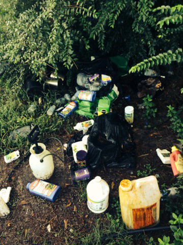 Tangipahoa deputies bust 'cartel-like' marijuana operation | Crime ...