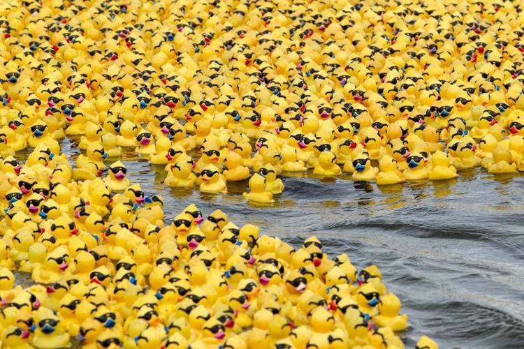 Photos Rubber Ducks | News | nola.com