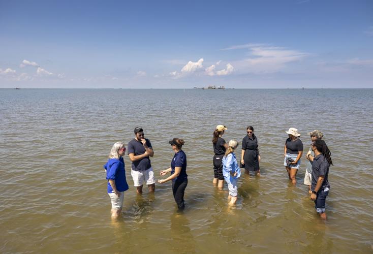 Break in the Mississippi's banks building new land: study | Environment ...