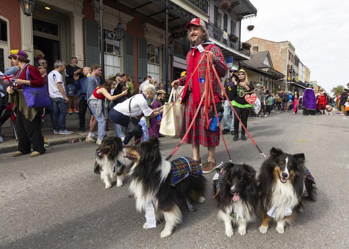Barkus parade had humble beginnings in New Orleans | Mardi Gras | nola.com