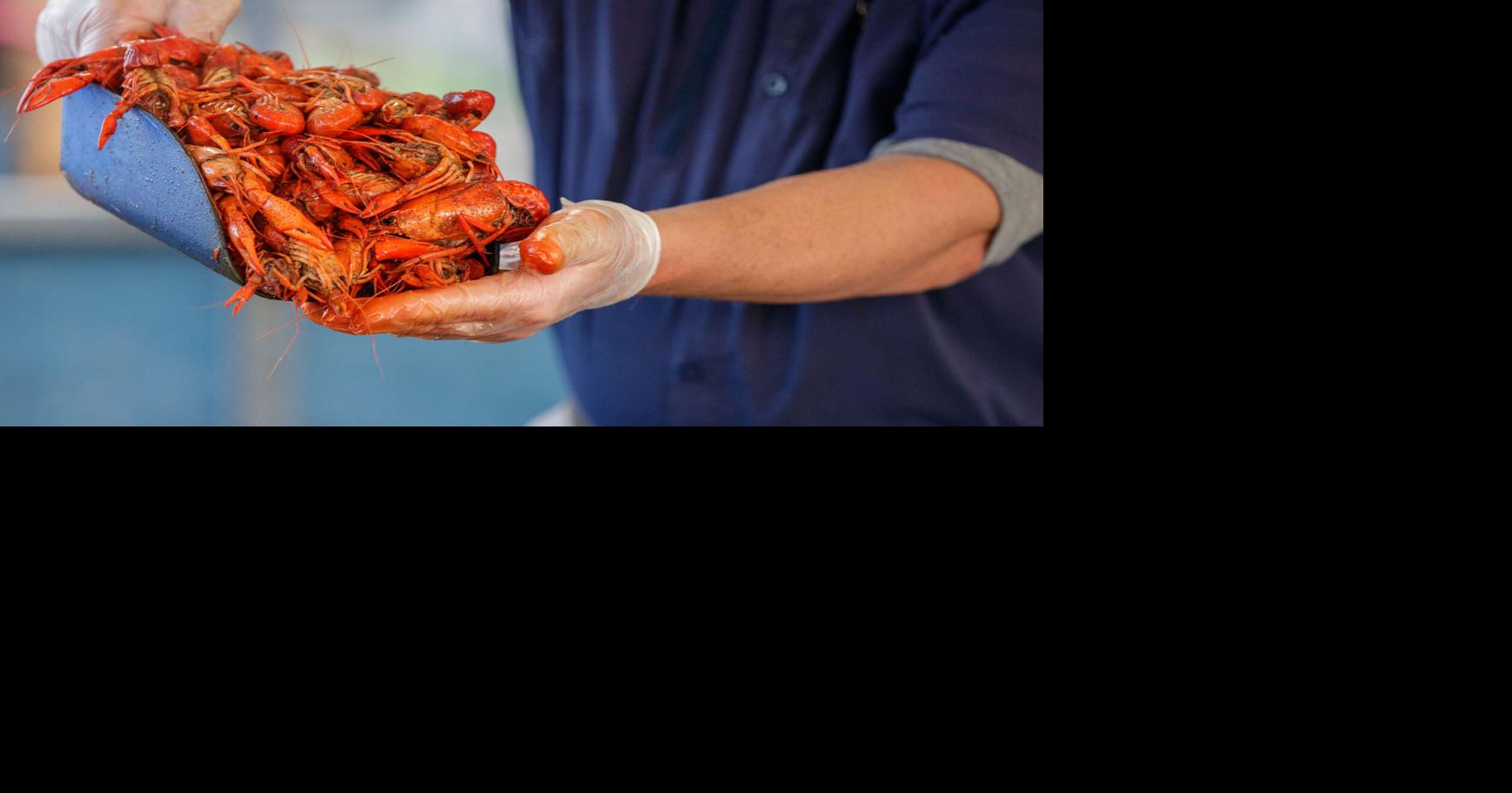 Louisiana Crawfish Festival 2023 back in St. Bernard Parish | Louisiana ...