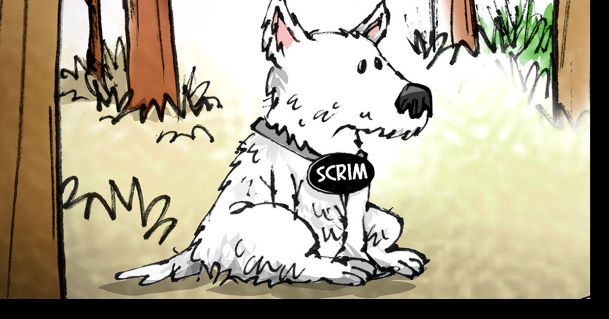 New Orleans Houdini dog escapes again | Walt Handelsman | nola.com