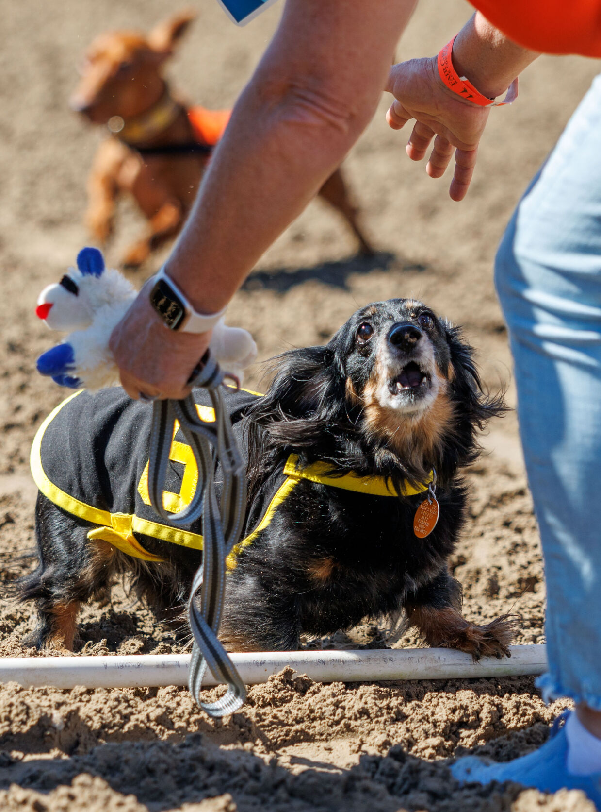 Photos: The Weiner takes it all at the Fair Grounds Race Course ...