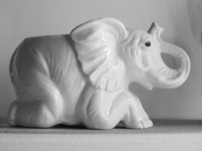 A New Orleans gift guide to White Elephant parties: 12 quirky ideas ...