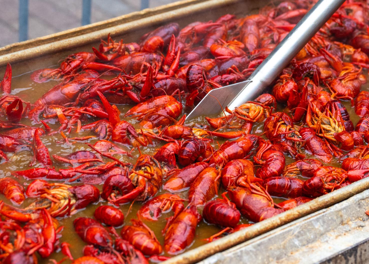 Is crawfish good for you? What the experts say | Louisiana Health ...