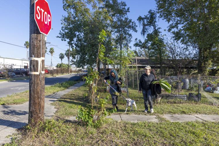 Bulbancha Blooms is a garden in New Orleans' Upper 9th Ward ...
