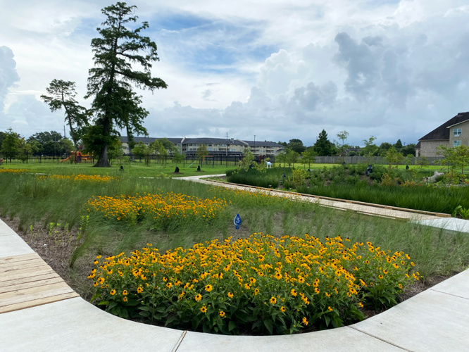 Sponsored: SWBNO green infrastructure projects provide natural ...