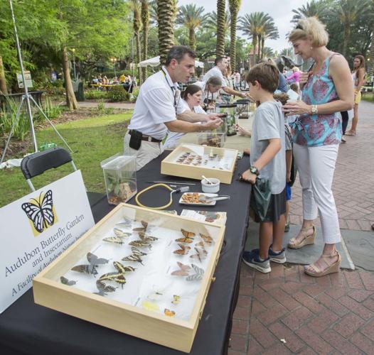 Zoo-to-Do for Kids attracts more than 3,000 to Audubon Zoo | Parties ...