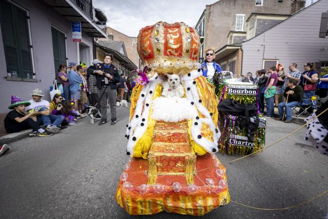The quick, complete 2023 New Orleans Mardi Gras season parade list ...