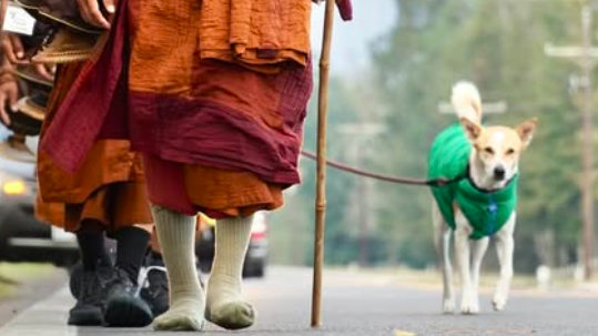 Monks on 120- day “Walk for Peace” arrive in Louisiana | Entertainment ...