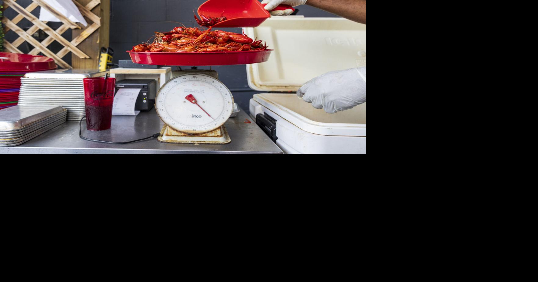 Louisiana crawfish expected to rebound quickly after snow | Weather ...