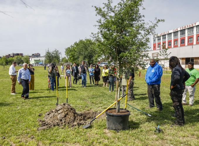 New park aims to ease Mid-City's stormwater stress | Environment | nola.com