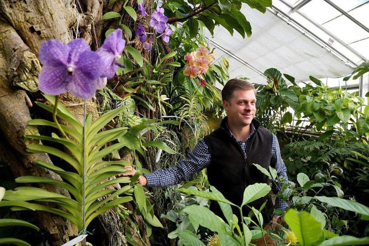 New LSU extension agent to teach the basics and more | Home/Garden ...