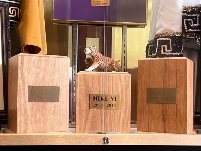 Where are the resting places of the deceased Mike the Tigers | Curious ...