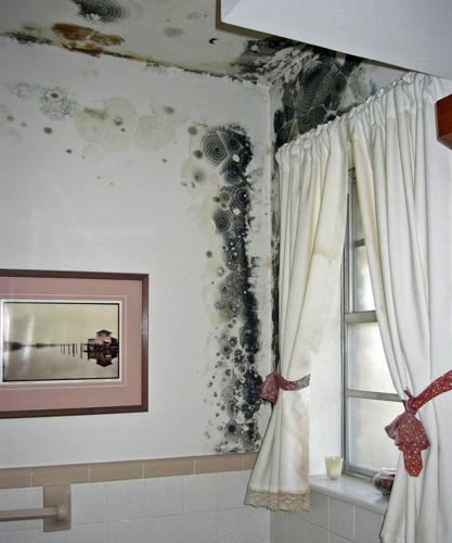 Katrina 'Mold Queen' checks rearview mirror as New Orleans navigates ...