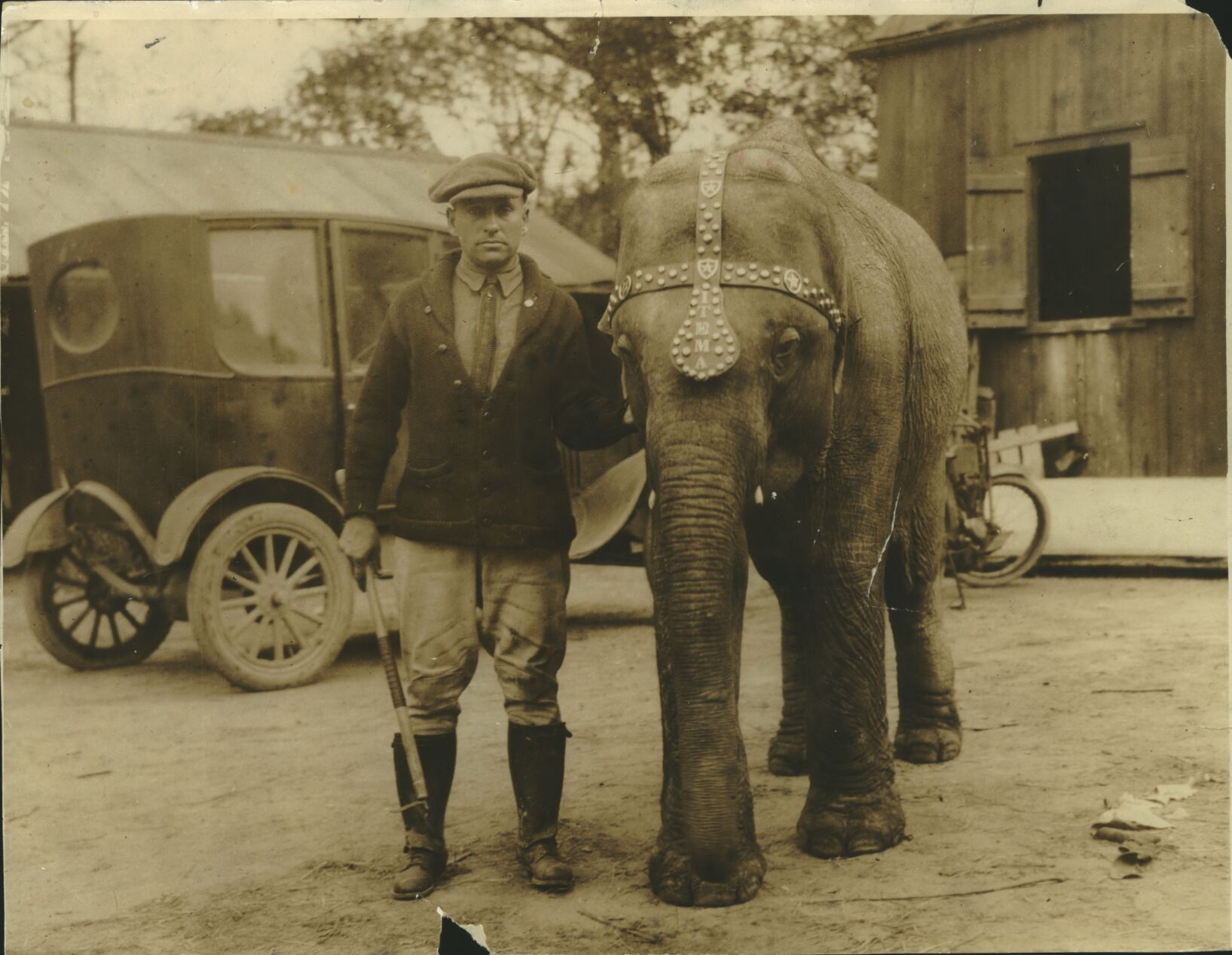 New Orleans welcomed Audubon Zoo's first elephant in 1924 | Blake ...