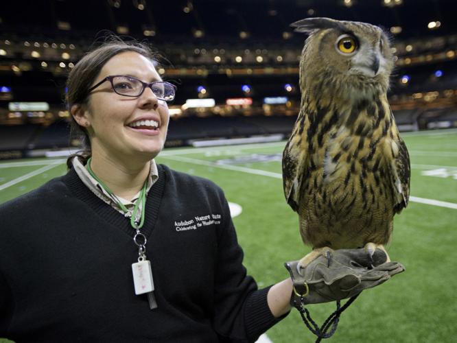 Audubon Zoo guests get up-close with fascinating animals with 'Animal ...