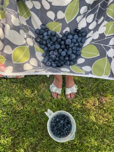 Blueberry recipes for Louisiana's peak berry season | Where NOLA Eats ...