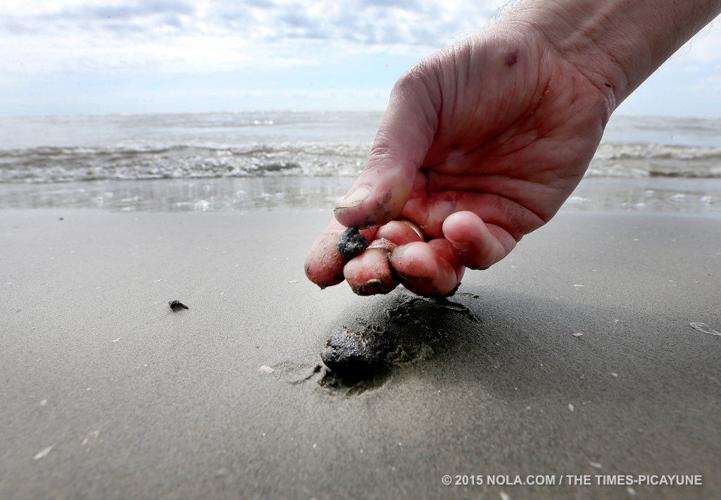 BP oil spill: 5 years later, many environmental effects remain unclear ...