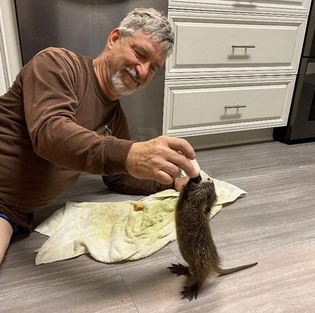Rescued nutria rat becomes family pet in Bucktown | Entertainment/Life ...