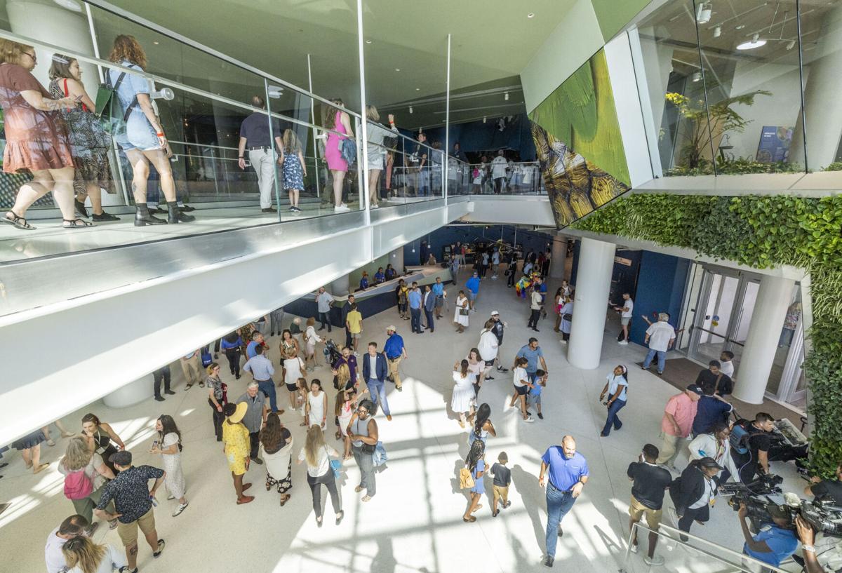 Audubon Aquarium and Insectarium opens after renovation | Photos | nola.com