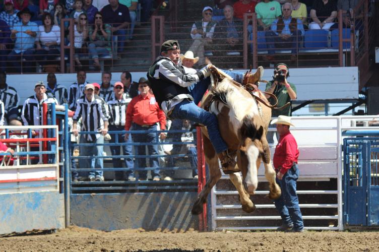 Angola Prison Rodeo, Treme Culture Fest, Satsuma Celebration and more ...