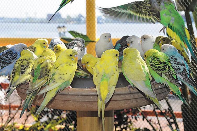 New Orleans Activities for Kids | Kids | nola.com