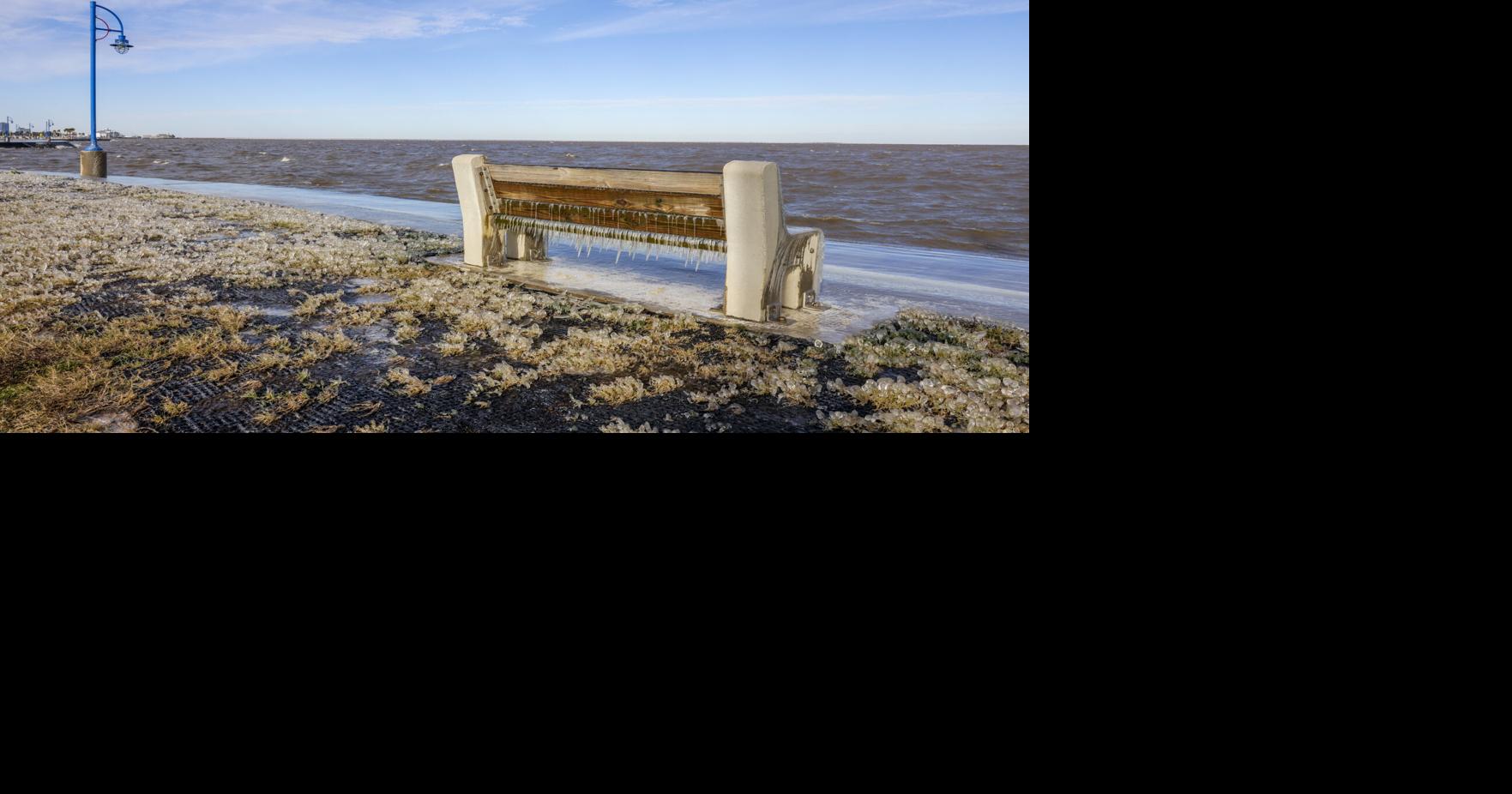Ice forms around New Orleans as temperatures hover in 20s | Photos ...