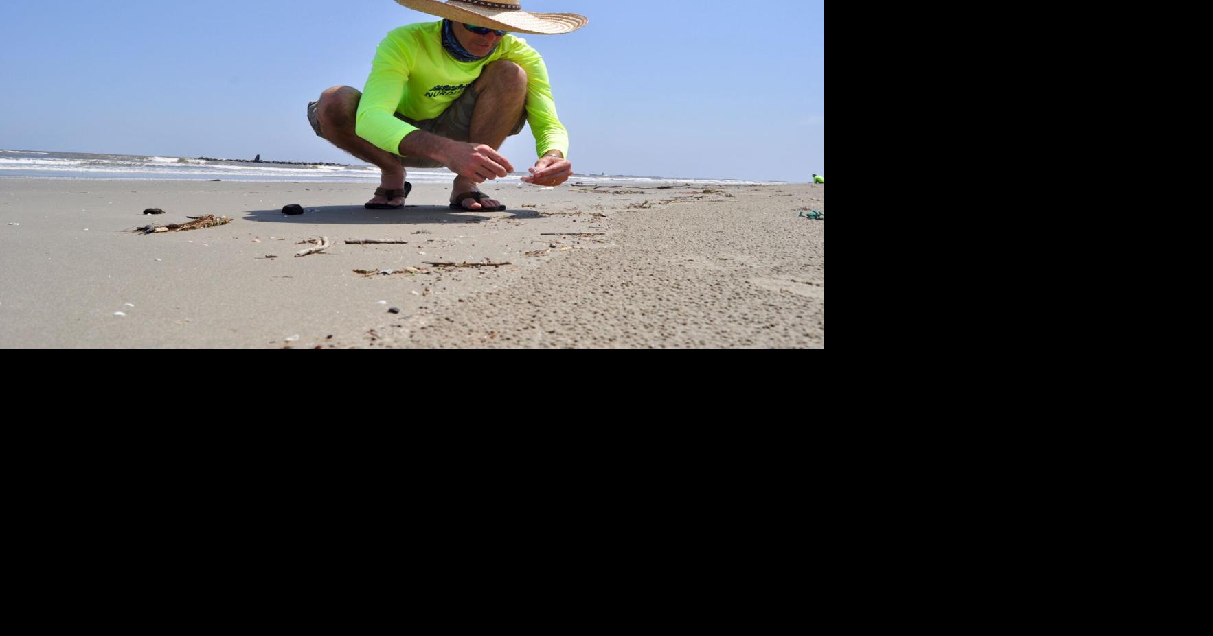 'Nurdle Patrol' survey finds plastic pellets on almost every Louisiana ...