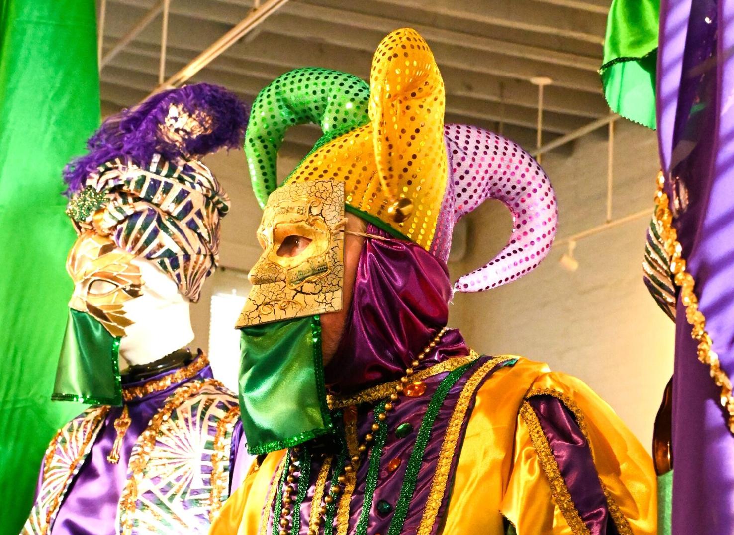 NOLA's new Mystic Kings Mardi Gras Krewe to include camels | Mardi Gras ...