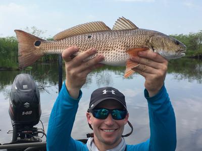 Anglers are pushing into skinny waters to target redfish they can see ...