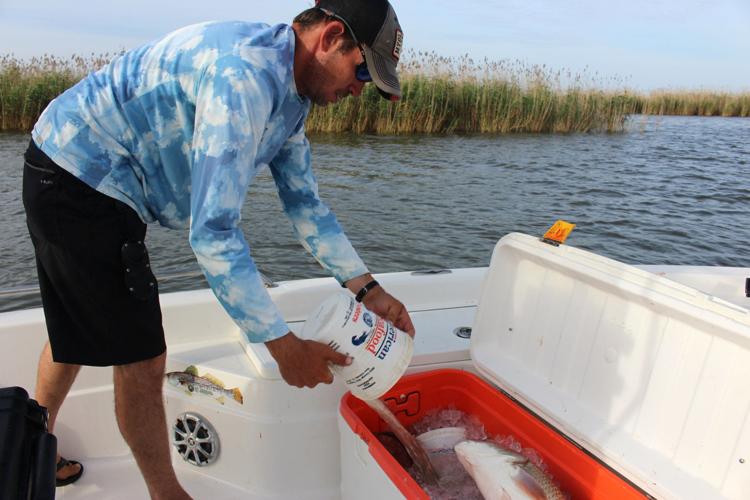 Redfish, speckled trout an easy run from this area | Sports | nola.com