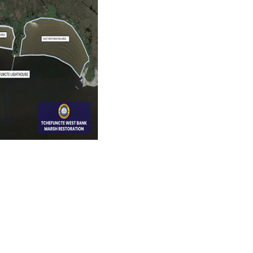 Tchefuncte West Bank Marsh Restoration | | nola.com