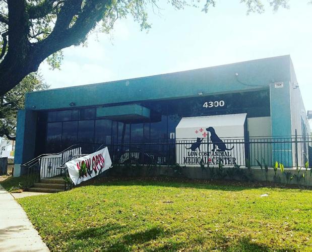 New low-cost animal hospital open on Washington Avenue | Business News ...