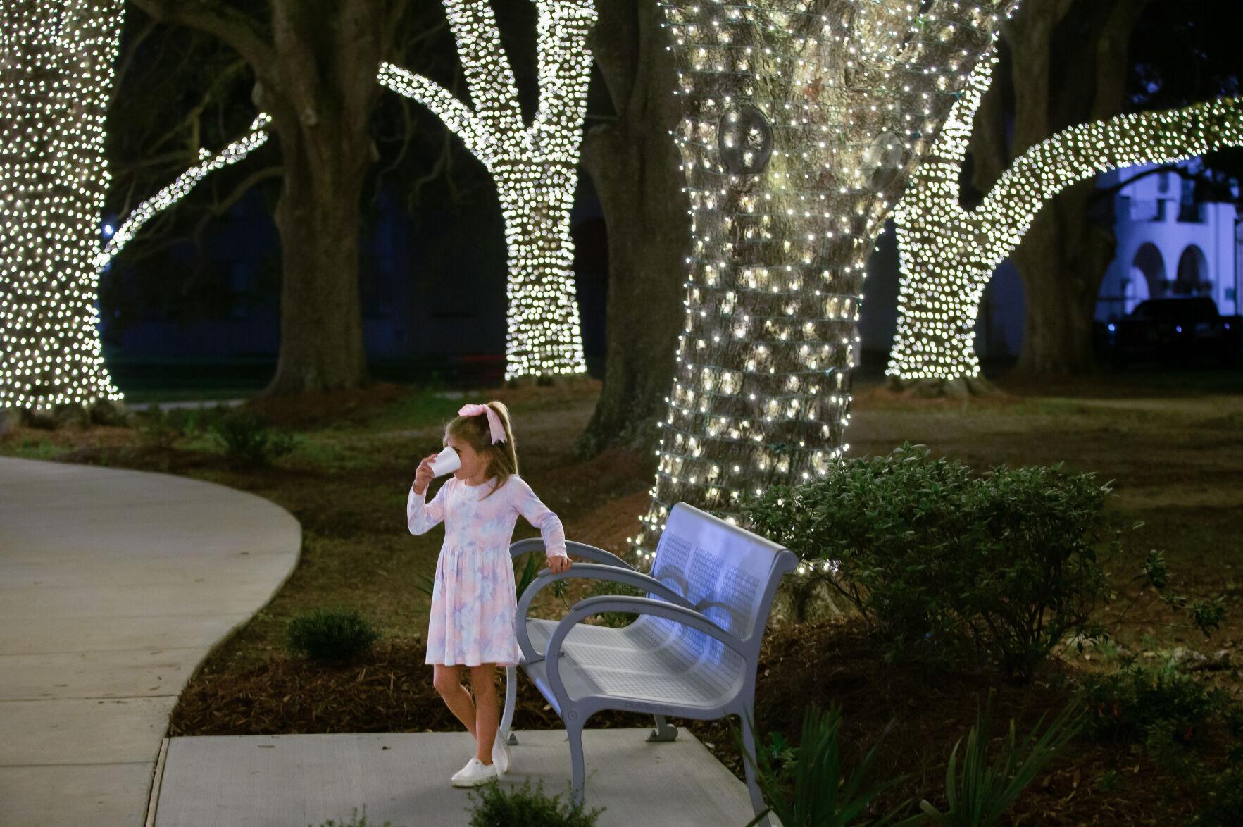 Photos: Hope Haven Live Oak trees are lighted for the first time for ...