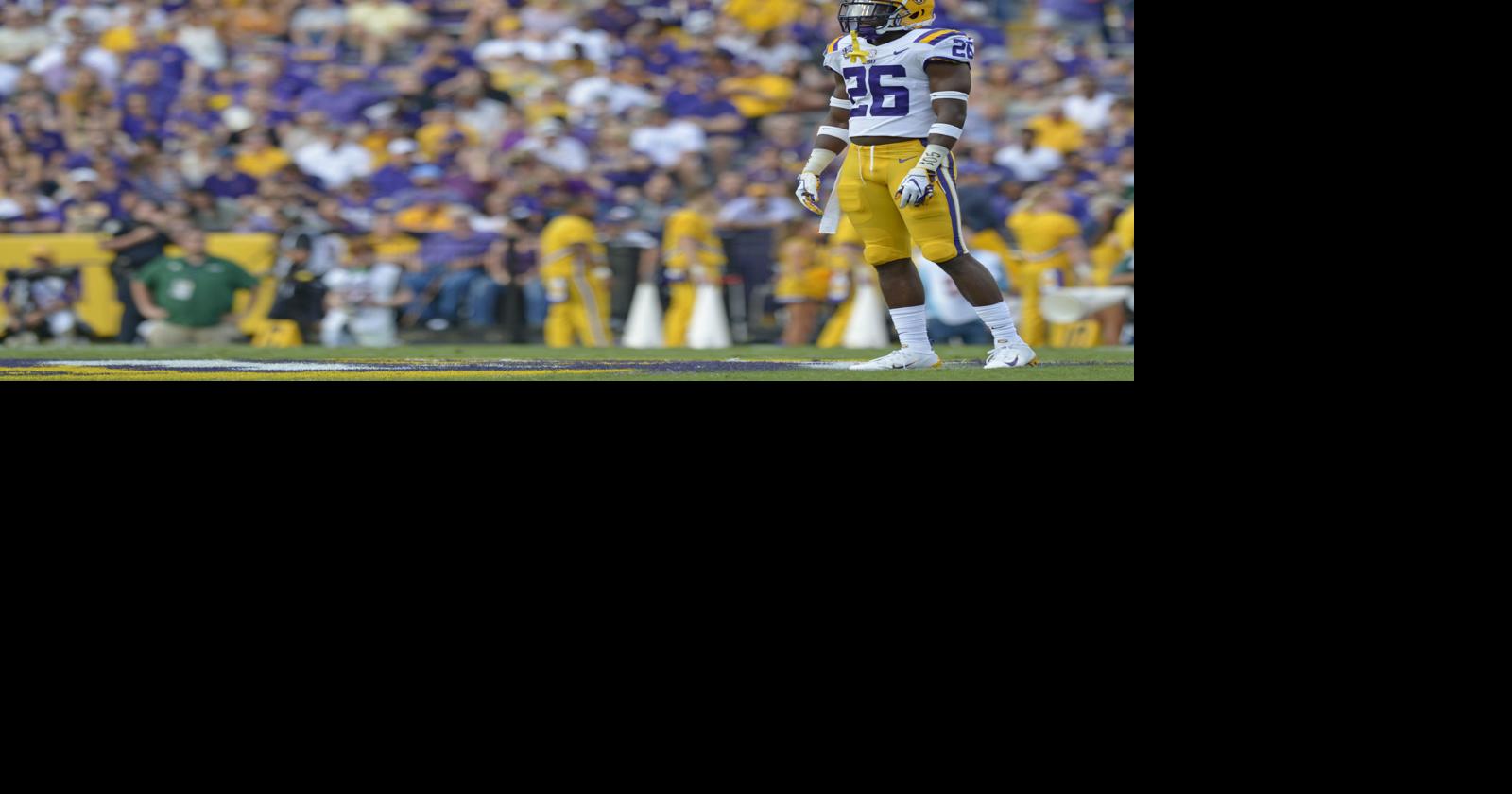 Photos: LSU cashes in on couple big plays against Southeastern in Tiger ...