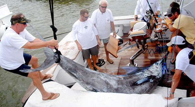 South Louisiana anglers prep for Grand Isle Tarpon Rodeo, Faux Pas ...