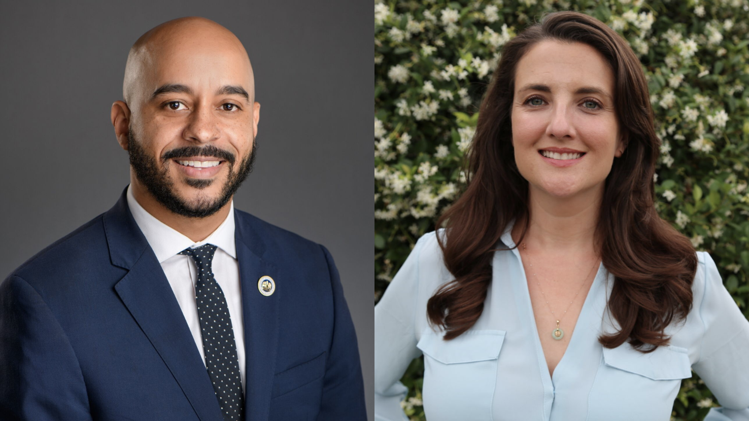 State Reps. Royce Duplessis, Mandie Landry qualify to replace Karen ...