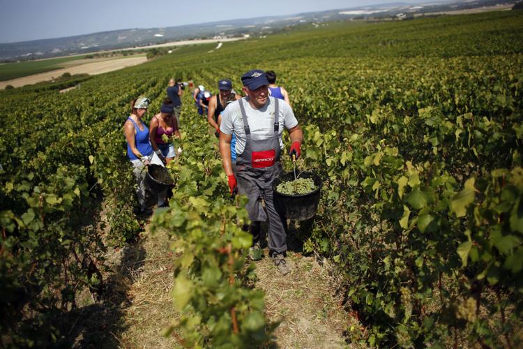 A 'swill time': 'Wine & Warfare' looks at occupation of French wine ...
