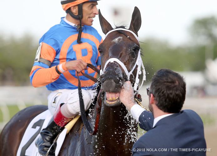 Louisiana Derby Day 2018: photo gallery | Archive | nola.com