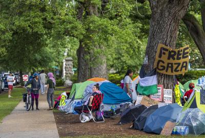 Letters: Pro-Palestinian protesters deface public property | Opinions ...