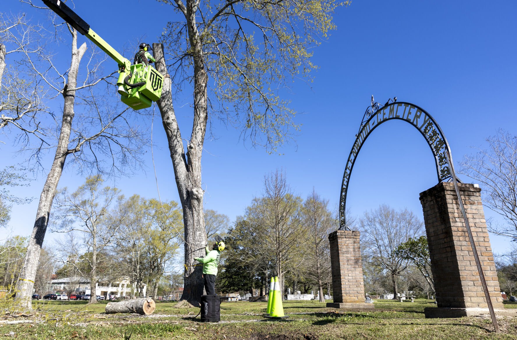 Slidell’s Greenwood Cemetery is cleaning up its tree canopy | One ...