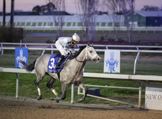 Track Phantom wins Lecomte Stakes in road to Kentucky Derby | Horse ...