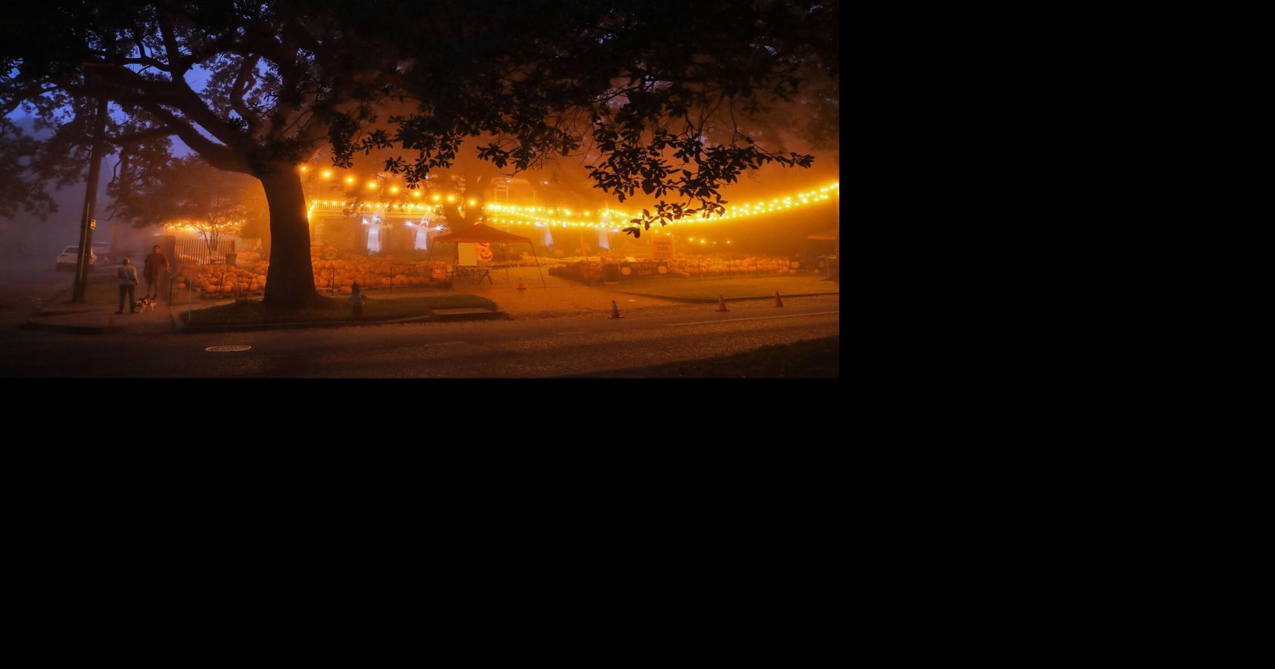 New Orleans, Baton Rouge under dense fog advisory | Weather | nola.com