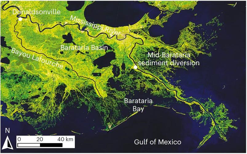 Barataria wetlands losses linked to levees, oil wells: study ...