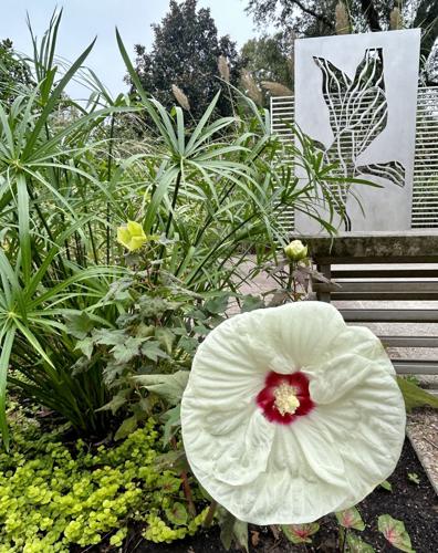 Don't miss Shangri-La Botanical Gardens in Orange, Texas ...