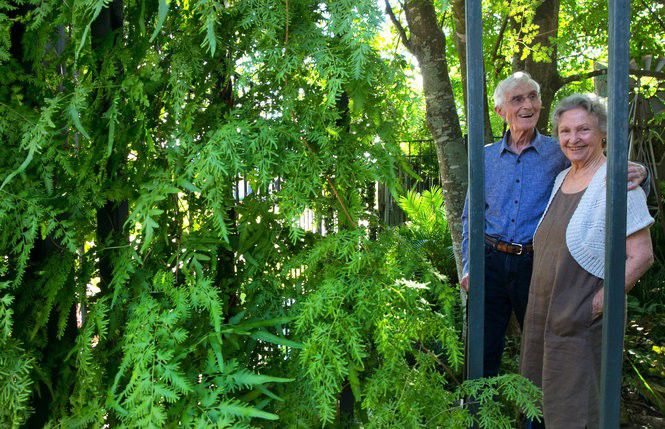 How to grow gorgeous ferns in Louisiana gardens | Home/Garden | nola.com