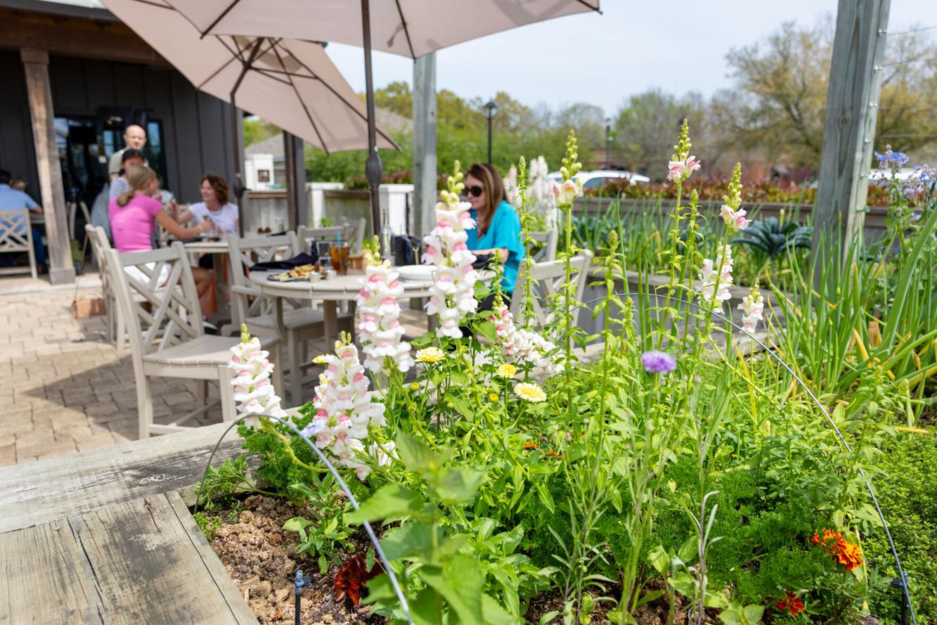 Gulf Coast restaurant Hope Farm to open Little Bird in 2025 | Where ...